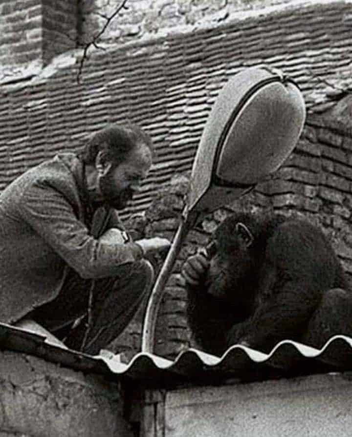 Interesting Story Behind The Photo Of A Man Negotiating With A Runaway ...