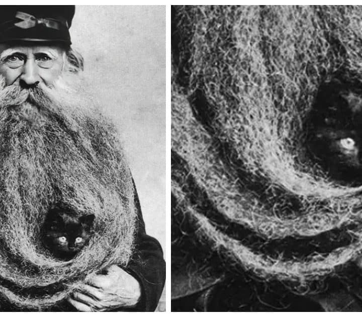 Louis Coulon, Who Turned His 11-Foot Beard Into A Cozy Cat Haven